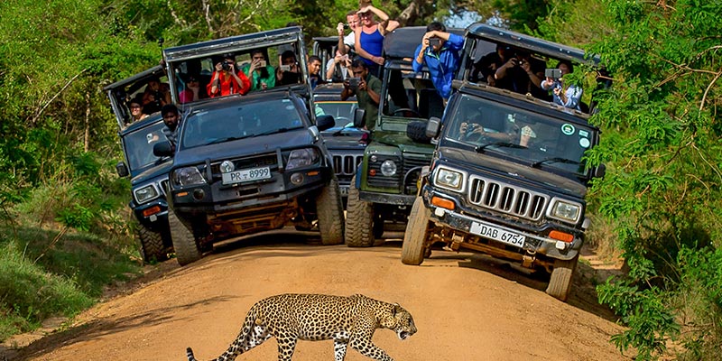 Sri Lanka Luxury Holidays | Travel Planning with Tangerine Tours